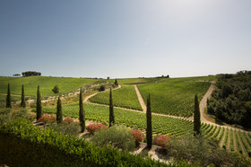 Gallery - Tolaini